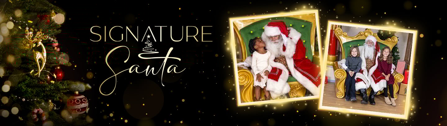Signature Santa Photo Experience | Where is Santa